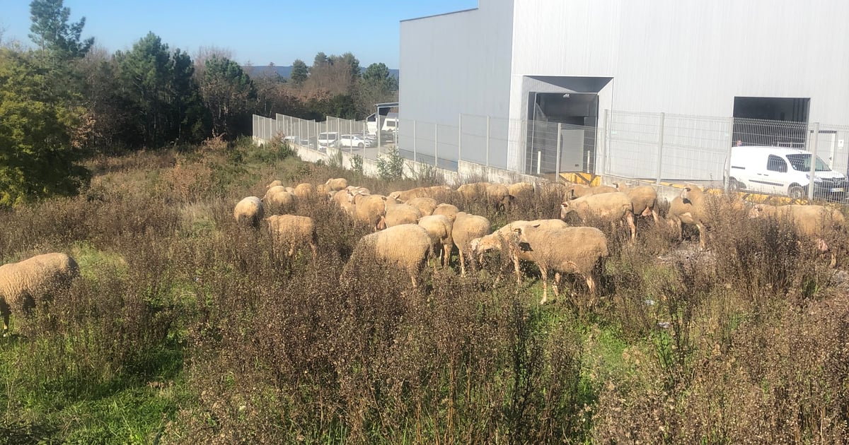 Nachhaltigkeit | Mike Mattern GmbH