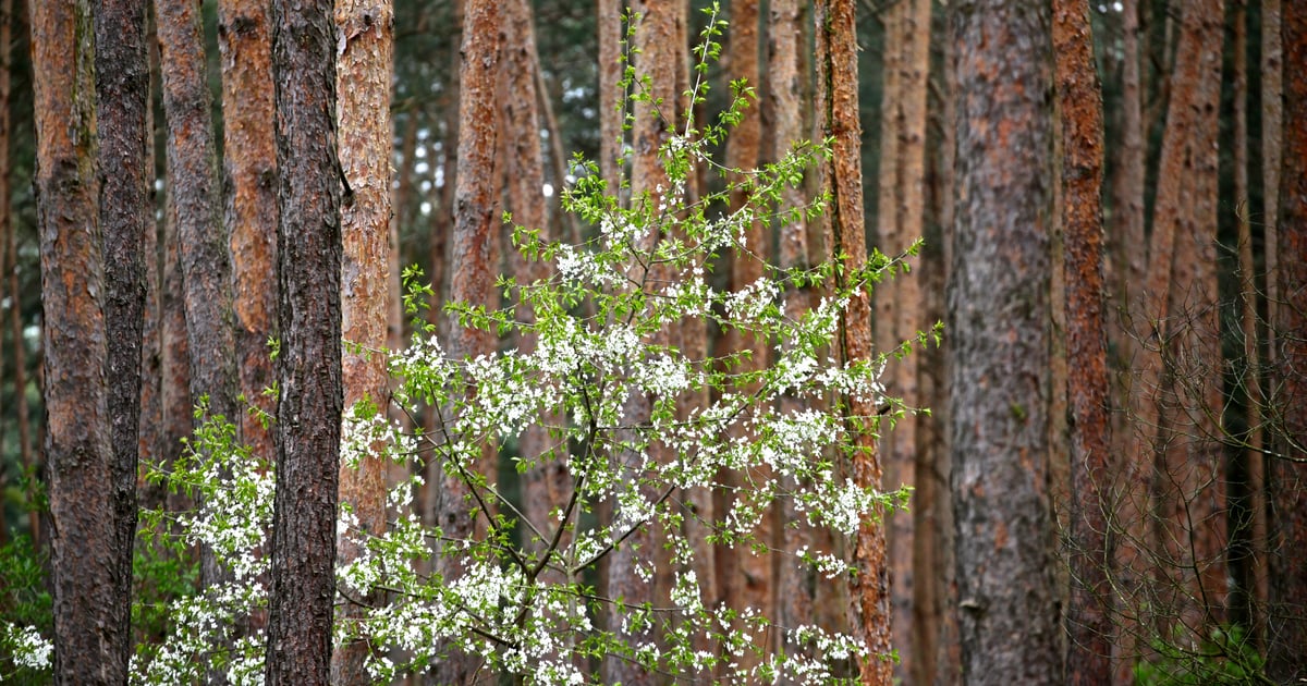 Home | Andreas Rigling