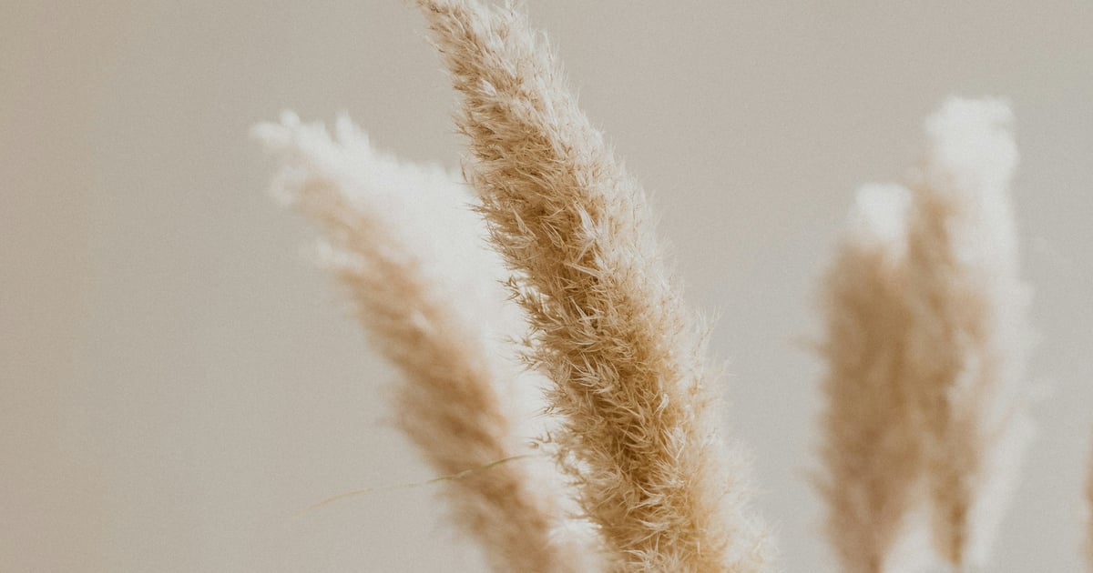 Home | Amalis Medical