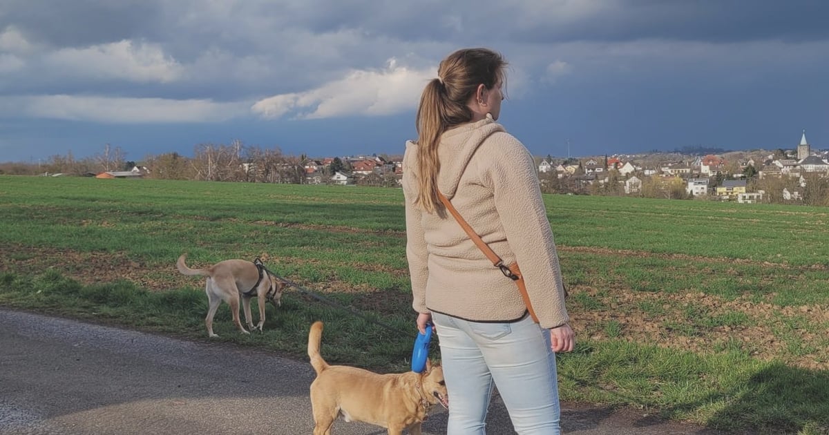 HuTa | Tierbetreuung | Alltagstraining | Tierpsy_Tina