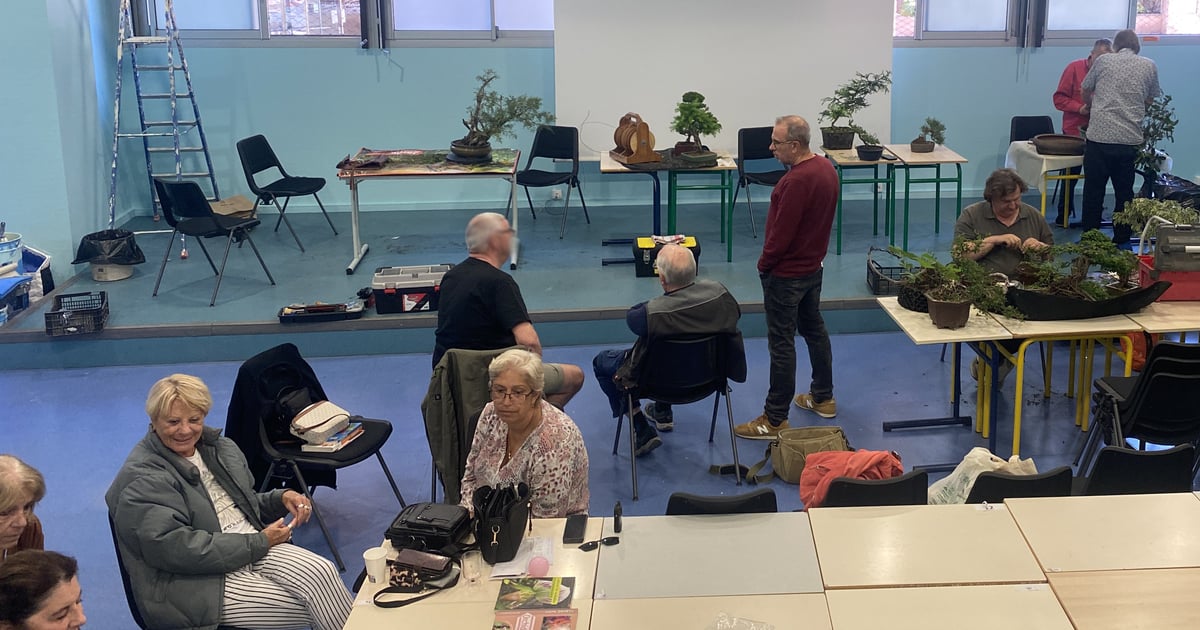 Ateliers | Bonsai club de Monaco