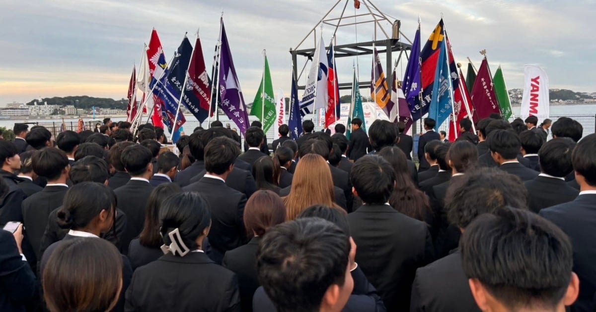 過去の戦績 | Rikkyo Sailing