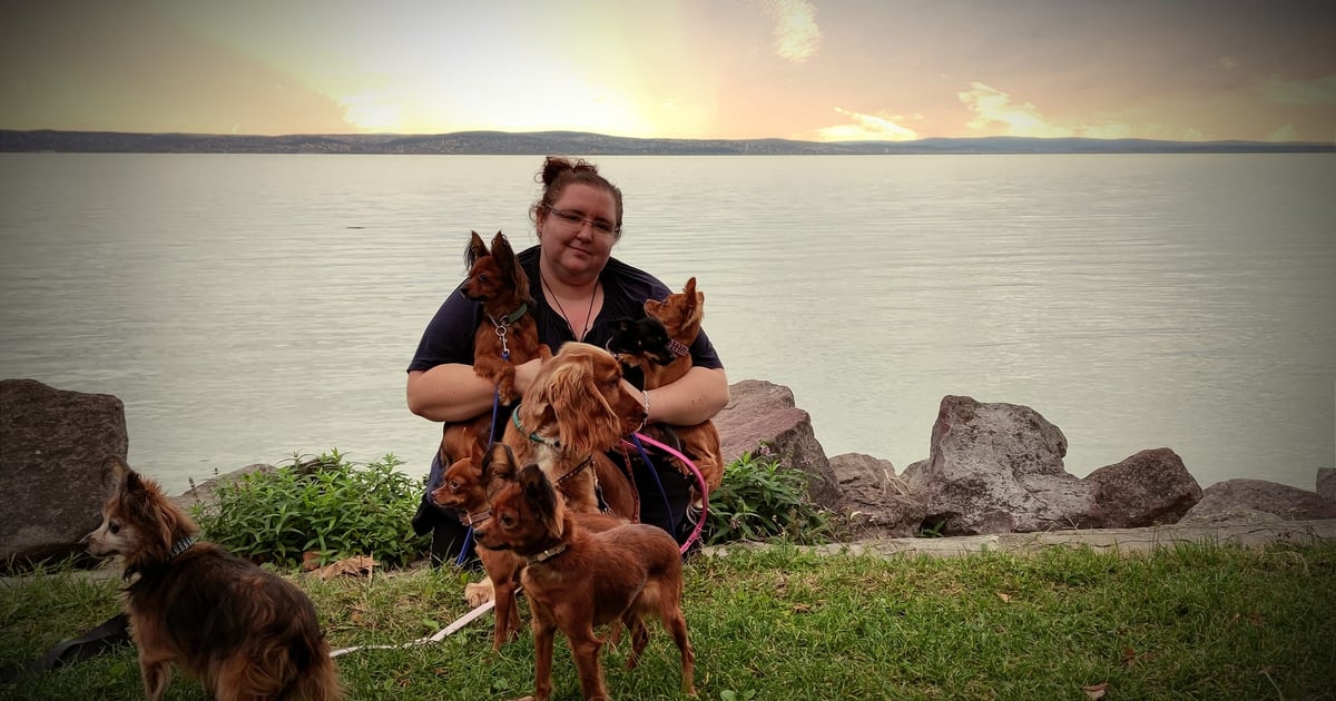 Home | Russkiy Toy of Amazing Austria