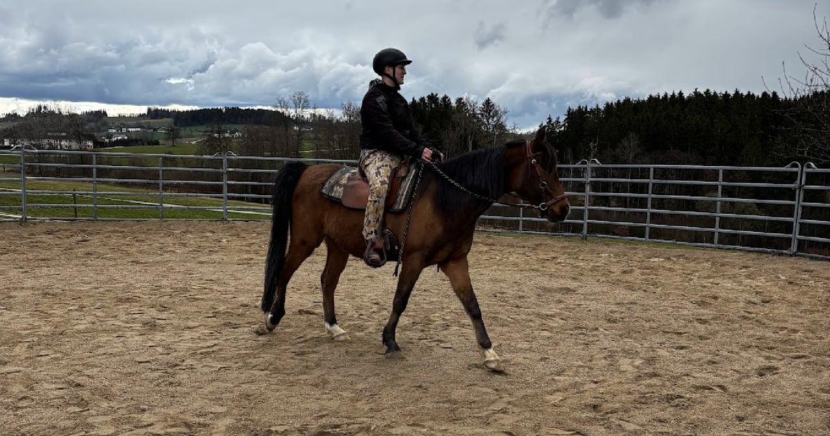 Team | Krabbelstube Flozirkus