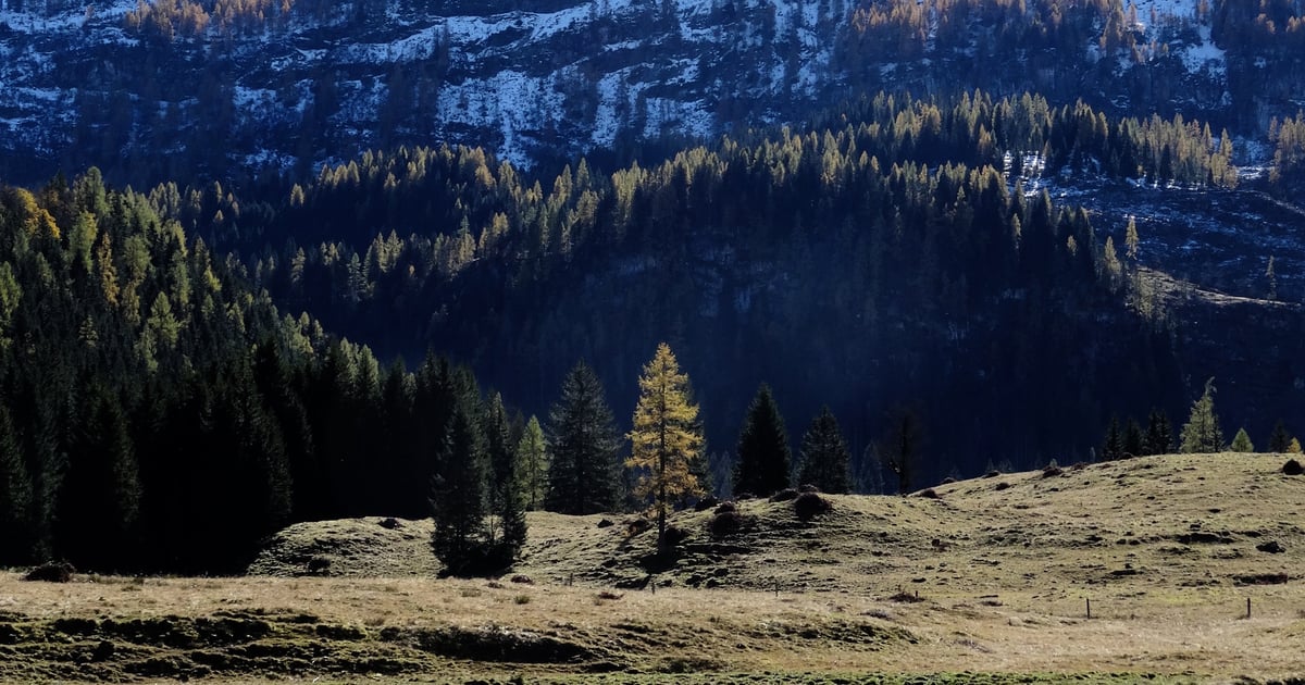 Märkte 2025 | Kräuterprodukte von Monika Horat-Strüby