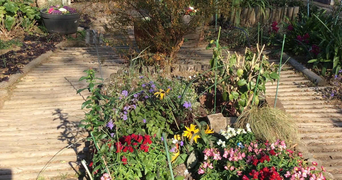 お問合せ | あしびasibikukai