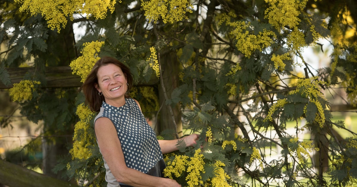 Imke Bieri | Bieri Institute