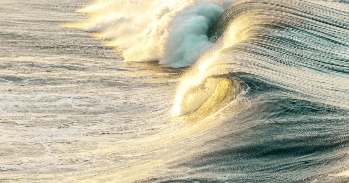 Blog: The Scientific Investor | Florian Weigert