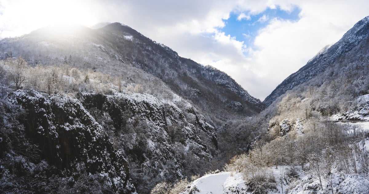 Gallery | Max Vigor Pulse