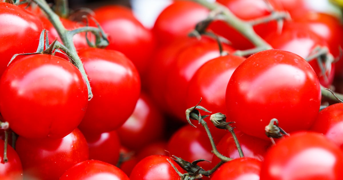 "Kim Min-jae Full-time + Kane Fantasy Mid-range Goal" Bayern Munich won ...