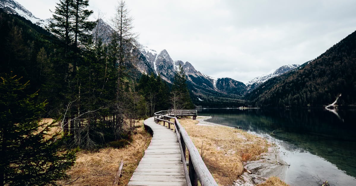 Accueil | ALCEE FORMATION