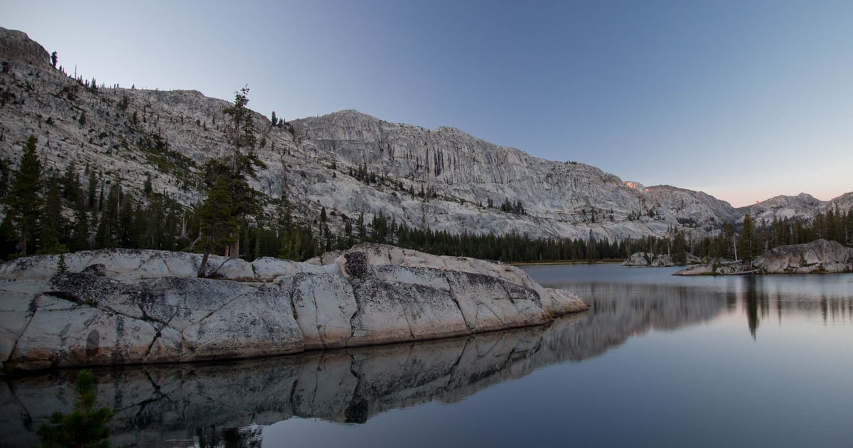 Litter plans - English | House of Grace