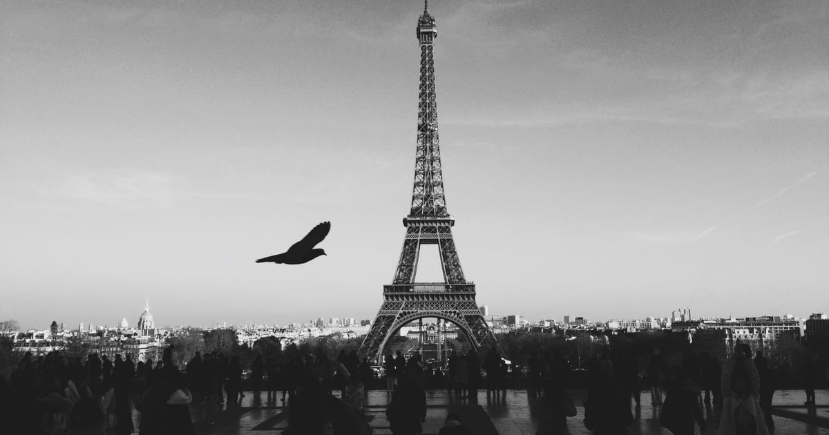 Home french | Seychelles Excursions Island tours and snorkeling trips