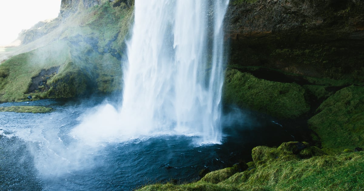 Das Team | Arillus e.V.