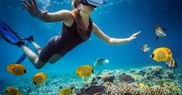 Dive for Fun Home | Dive for Fun