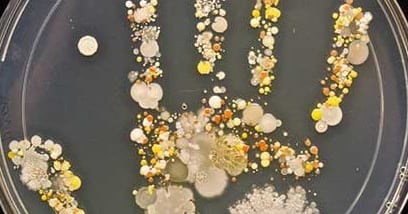 Kontakt | Microbact AG