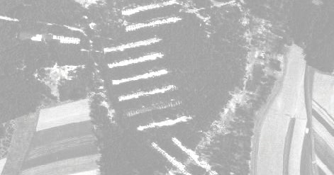 Das Lager - Geschichte - Deutsch | Lager Gunskirchen