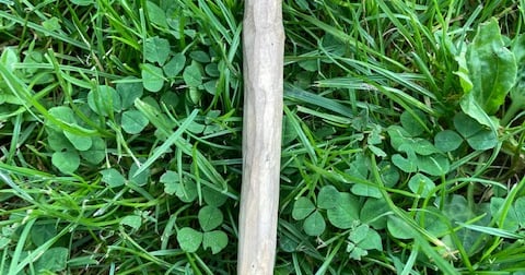 Energiearbeit | Tierenergetik Katrin Hoch