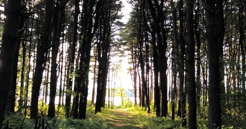 Therapy and Coaching | Barbara Bowe