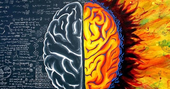 Portfolio | Rene King