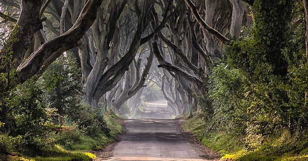 Home | zaunreiten Tina Scherer