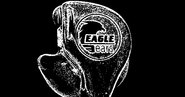 Eagle Ears - Custom In Ear Monitoring | Made in Austria