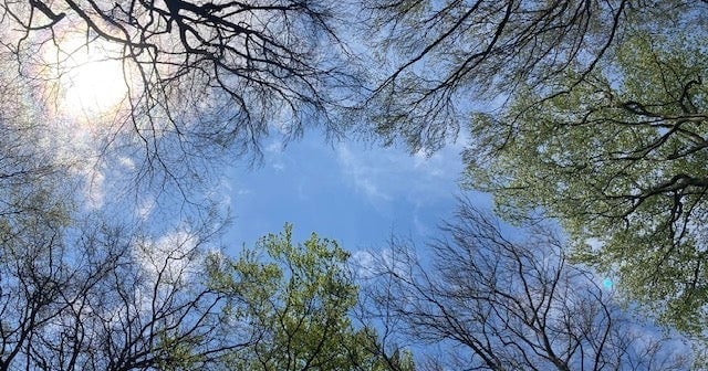 Home | Daniel Staley