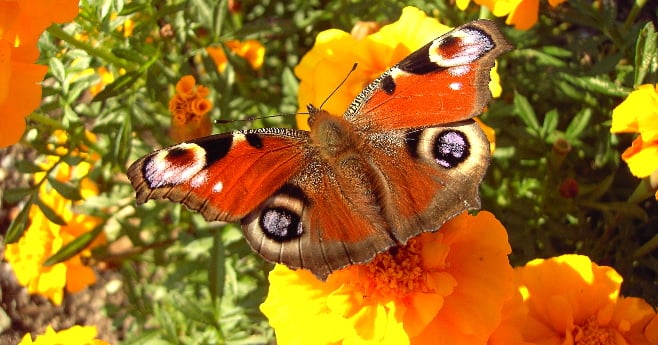 Galerie | Praxis Karl Rau