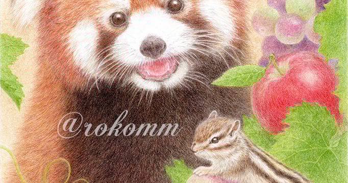 GALLERY | studio roko