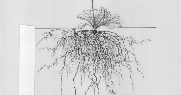 Dramaturgische Begleitung / Outside Eye - VERMITTLUNG & DRAMATURGIE | Sarah Herr