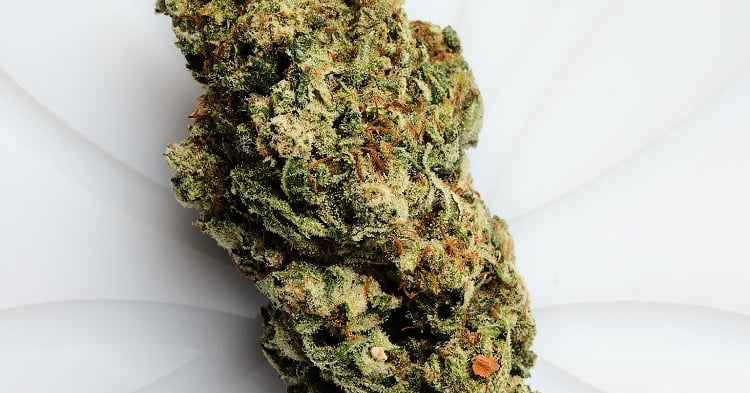 Pink Gorilla Strain - Store | Top BC Cannabis