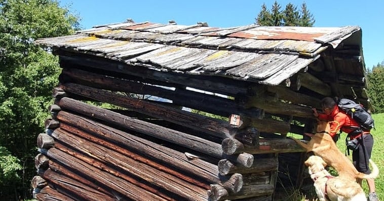 Mein Ziel | Tierisch BEWEGT Rita Knauder