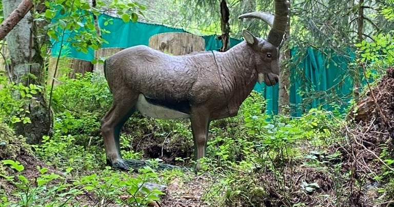 3D Parcour | Bowunter