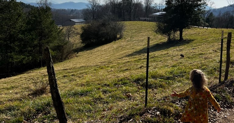 evergreen forest school clitheroe
