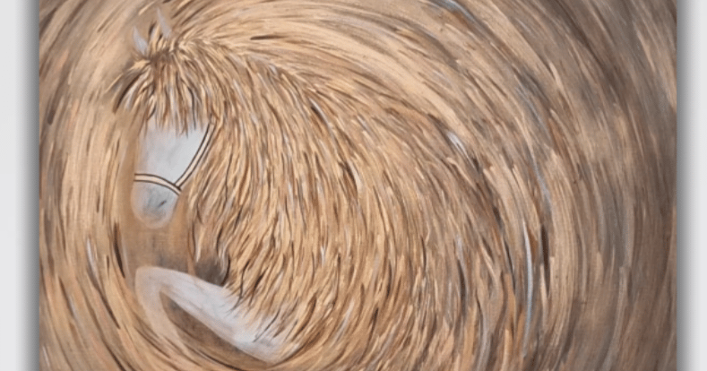 Bilder 2025 | Andrea Appel