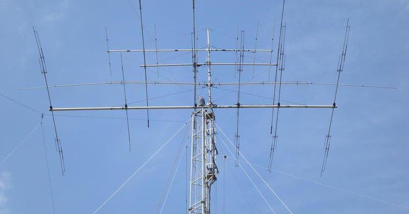 Accueil | 14 SUGAR DELTA 152 PATRICE