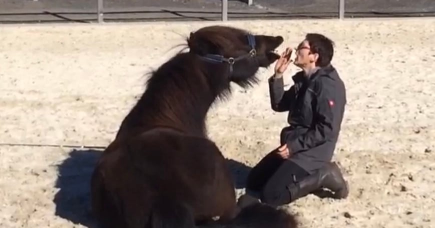 Energetische Tierkommunikation | Tierenergetik Katrin Hoch