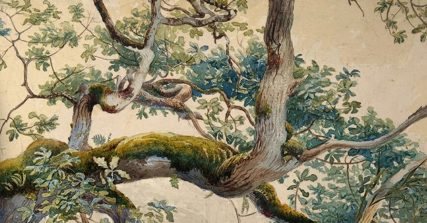 Psychotherapie Naturheilkunde Heilpraktiker Yager-Code Microkinesi ...