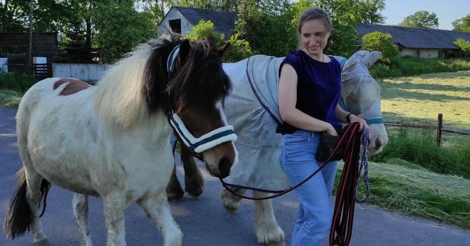 Kontakt | Luise Wolf