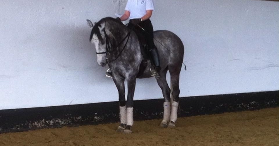 Kontakt | Deborah Florio