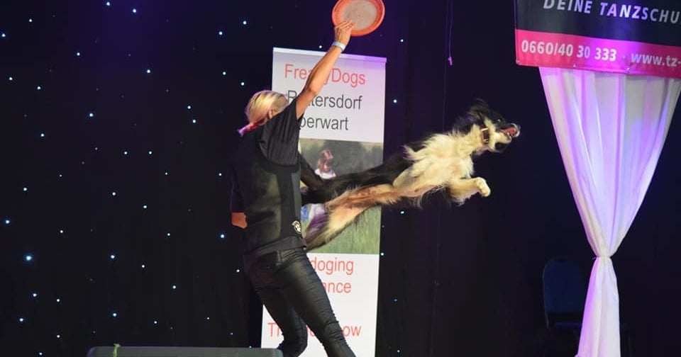 Kontakt | Hundeschule Freaky Dogs