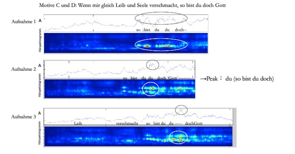Research | Junko Sonoda