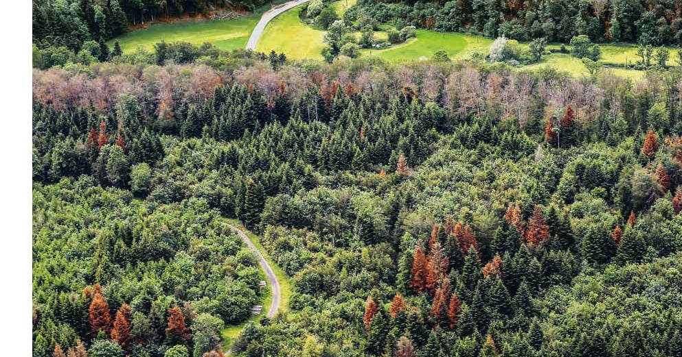 Implementation / Umsetzung | Andreas Rigling