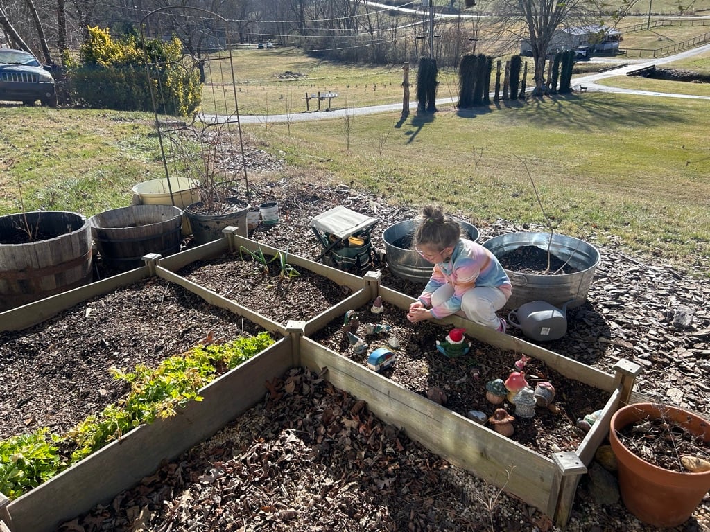 evergreen forest school clitheroe