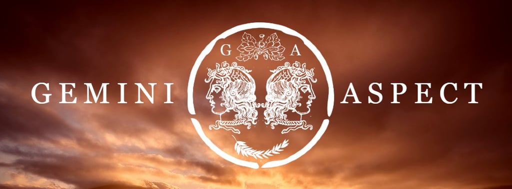 gemini aspect