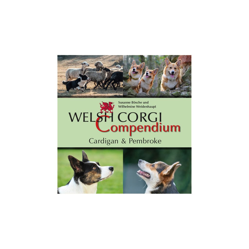 welsh corgi compendium